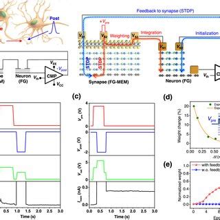 Unsupervised Learning Capability Of Neural Network Constructed Based On