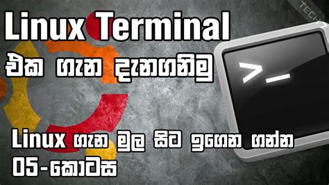 Linux Sinhala 5 Introduction To Ubuntu Linux Terminal Youtube