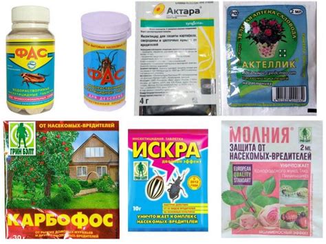 Средства от тли: ТОП-10 лучших препаратов, как бороться, лучшие из ...