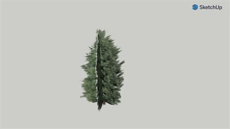 Cedar Tree D Warehouse