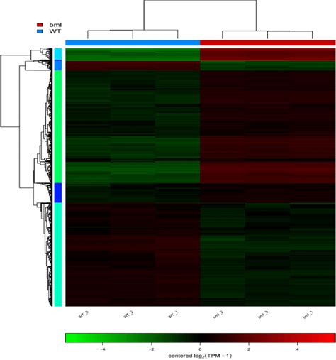 Clustering Heat Map Of Differential Gene Expression Each Row In The Download Scientific