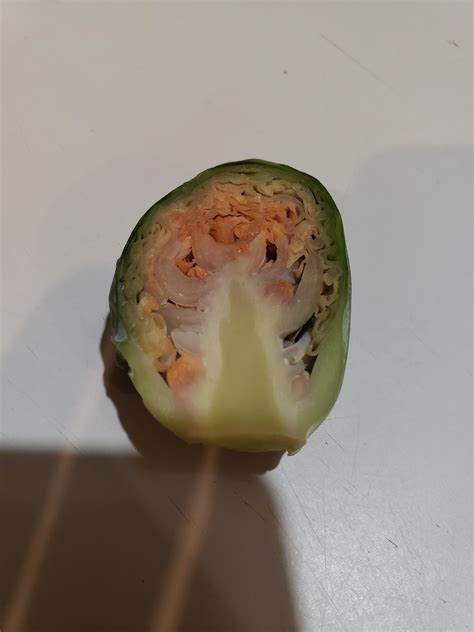 Brussel Sprouts Funny Color Inside R Foodsafety