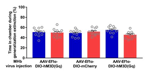 Mhb Glutamatergiccholinergic Neurons Participate In Generalization