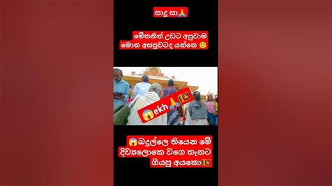 🙏සාදු සා අද මාසෙ මුල් දවස හැමොගේම ප්‍රර්ථානා ඉටුවන සුබ මාසයක් වේවා🥺තෙරුවන් සරණයි බුදූසරණයි