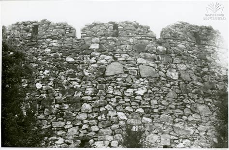 Iverieli ფოტო დევი ბერძენიშვილის არქივიდან