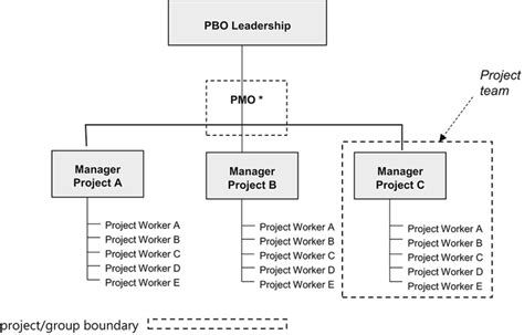 The PBO Organisational Structure PBO Projectbased Organisation PMO Download Scientific