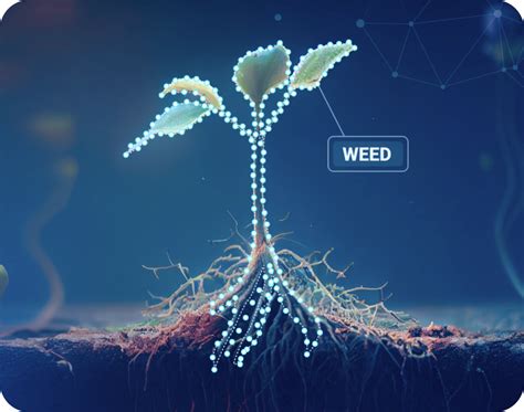 Mindy Support Generative Ai Customer Service And Data Annotation