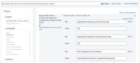 Integrating Ranger KMS DB With CipherTrust Manager HSM