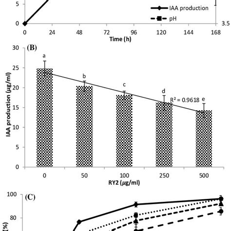 Potential Of Pseudomonas Aeruginosa Zm130 For Indole Acetic Acid Iaa