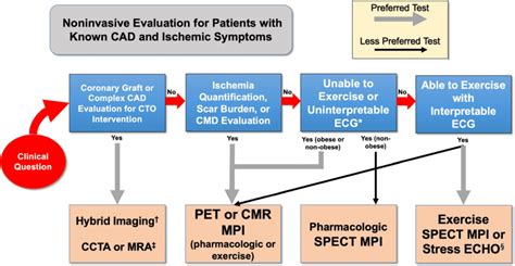 Proposed Algorithm For The Use Of Different Non Invasive Imaging
