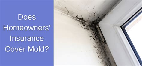 Fassbender Insurance Agency