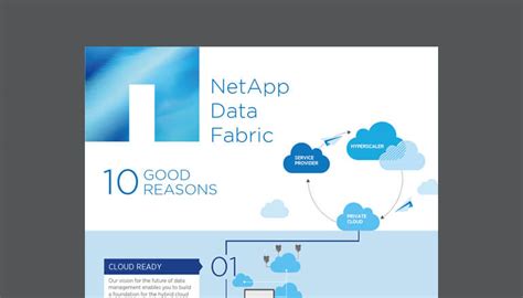 NetApp Data Fabric Infographic Insight