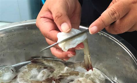 How To Devein Shrimp Tips For Cleaning Shrimp