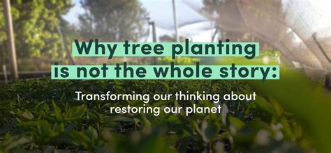 Why Tree Planting Isnt The Whole Story Ecologi