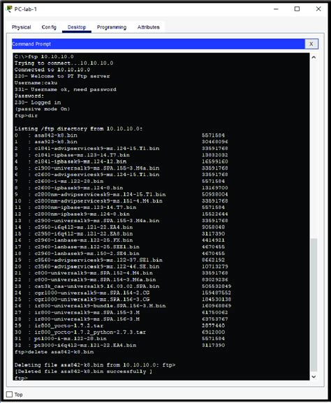 Ftp Server Connection Dns Server Configuration Is Shown In Figure 11