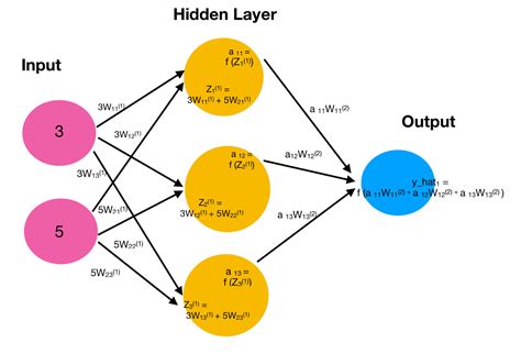 Understanding The Structure Of Neural Networks Becoming Human