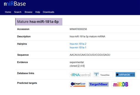 آشنایی با Mirbase پایگاه داده جامع میکروrnaها و اطلاعات دقیق در مورد توالی‌ها و ویژگی‌های آن‌ها