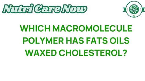 Unlocking The Mystery Which Macromolecule Polymer Contains Fats Oils And Cholesterol