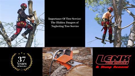 Importance Of Tree Service The Hidden Dangers Of Neglecting Tree Service LenkTreeService