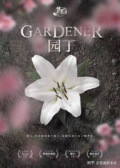 园丁丨剧本杀复盘解析测评凶手真相攻略 知乎
