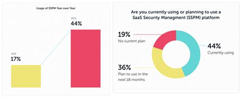 The Annual Report 2024 Plans And Priorities For Saas Security Planetjon Network