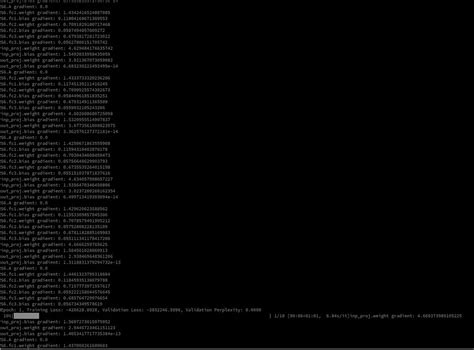 Nn Parameter Not Learning PyTorch Forums