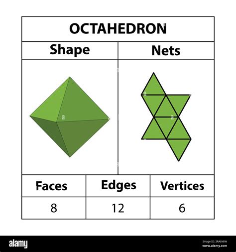 Octahedron Nets In Mathematics Faces Edges And Vertices Geometric Figures Are Set Isolated