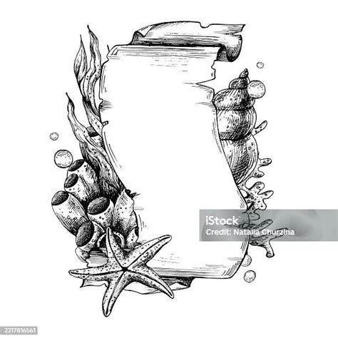 파피루스 말린 두루마리에는 가장자리가 들쭉날쭉하고 산호 조개 불가사리 바다 해면 조류가 있는 텍스트를 위한 공간 그래픽 일러스트레이션 검정 잉크로 손으로 그린 그림 템플릿