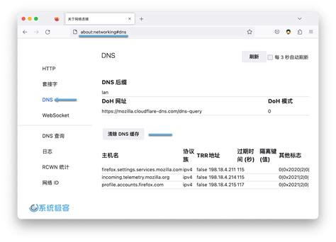如何清除与刷新 Dns 缓存，完全指南 系统极客