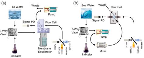 A Schematics Of The Detection System For Sami Co2 B Schematics Of Download Scientific