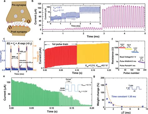Dynamic Response Of The Fully Printed Mos2 Memristive Artificial Download Scientific Diagram