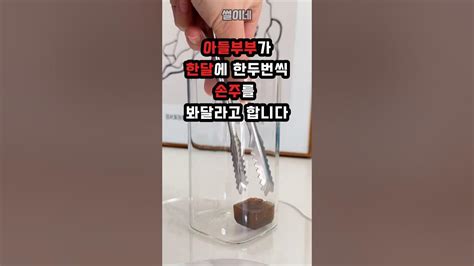 초췌한 와이프의 모습에 화가 난 이유 실제이야기 노후사연 가족자식 Youtube