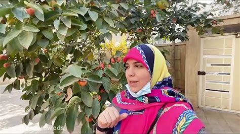 چالش ماچارتا