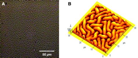 Achieving Precision With CMP Wafers Enhancing Semiconductor Device Performance TheSite Org
