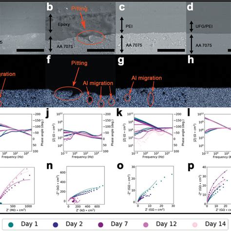 Electrochemical Processes Interface Characterization And Corrosion Download Scientific