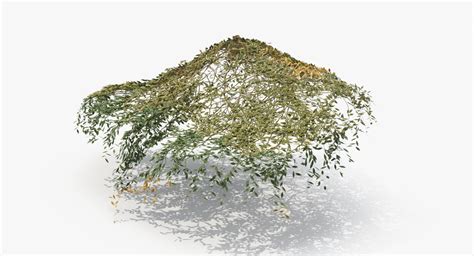 Ivy Pbr Branches Model Turbosquid 1303281