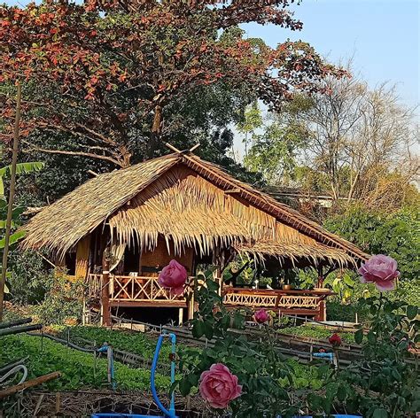 บ้านในสวน โฮมสเตย์ ผานกเค้า