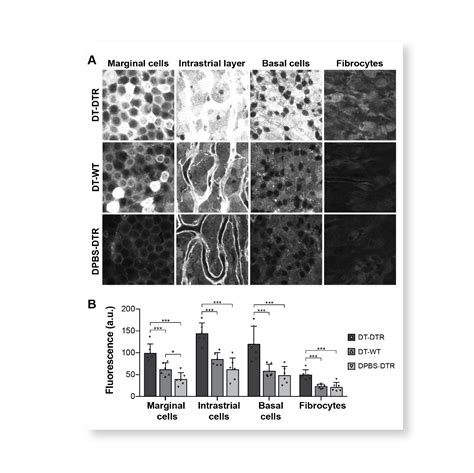 Scientific Graphic Design For Figures Abstracts Publications