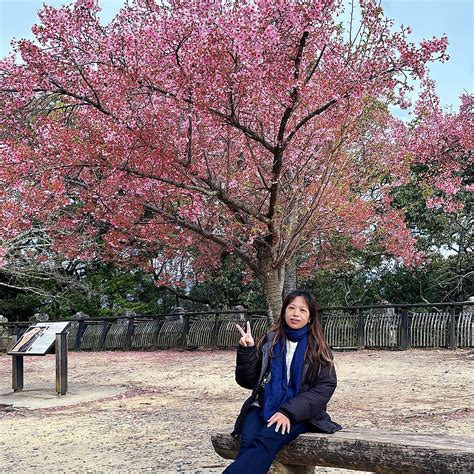 Celery 奇莉雅 輕鬆的星期六~♪♬♫♪♫ 小編帶著愉快的心情喝著咖啡打算來辦個小活動ჰჰჰ ‿ ჴჴჴ 這次活動很簡單哦 活動時間