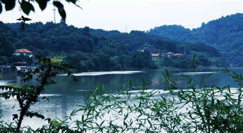 天仙子燕语莺啼 天仙子 天仙子先 大山谷图库