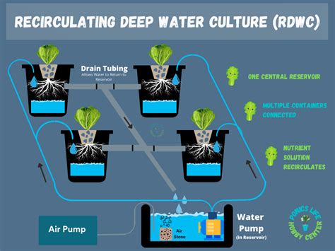 Deep Water Culture System