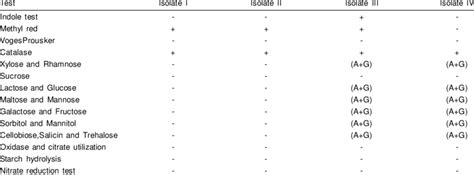 Biochemical Characterization Of The Selected Isolates Download