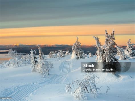 눈 덮인 전나무 나무를 통해 겨울의 햇볕이 잘 드는 숲을 통과하는 스노우 모빌 트레일 놀라운 가혹한 북극 자연 겨울 서리가 내린 숲에 관한 신비로운 이야기 눈 냉동상태의
