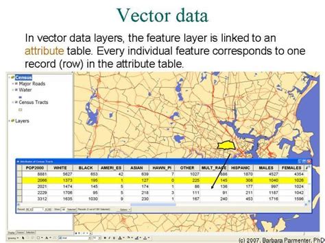 13 Vector Data Structure Images Vector And Raster Data Gis Vector