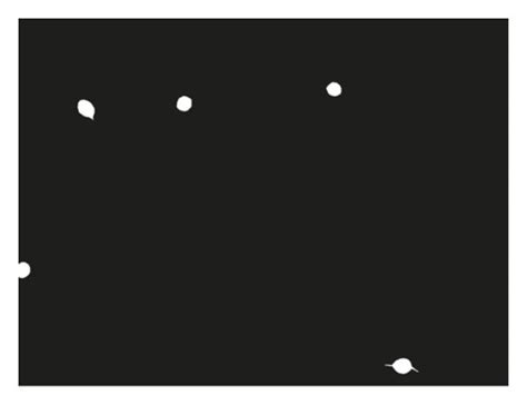 Segmentation Foreground Renderings A Original Image B Standard Download Scientific