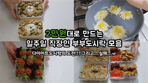 식비절약 직장인부부도시락 2만원대로 만드는 단백질 가득 일주일 부부도시락모음닭가슴살덮밥참치쌈밥두부볶음밥닭꼬치양배추밥양배추전고물가식비절약도시락
