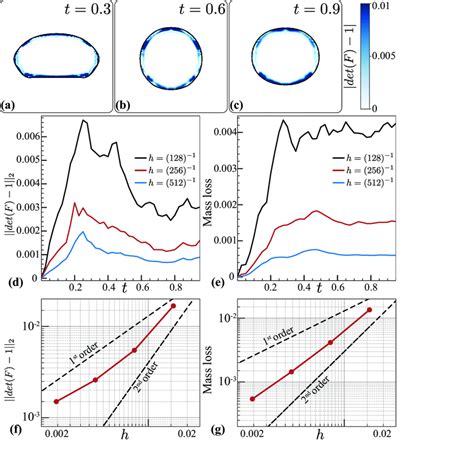 Figure C11 Convergence Of Incompressibility Errors Inside The Solid Download Scientific