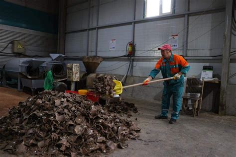 Ерөнхийлөгч цар тахлын үед тасралтгүй ажилласан ААН үүдэд талархал илэрхийлэв