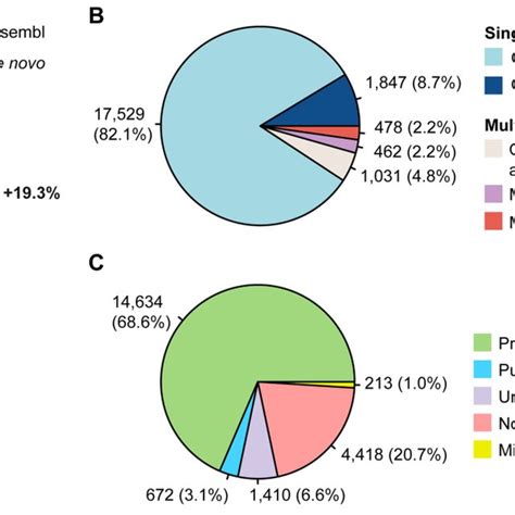 Characteristics Of The New Gene Annotation Model A The Dual Transcript Download Scientific