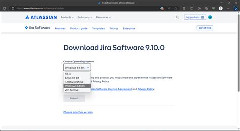 Server Side Jira Installation World Of Agile